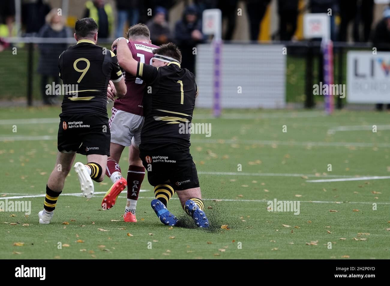 Liveborders hi-res stock photography and images - Alamy