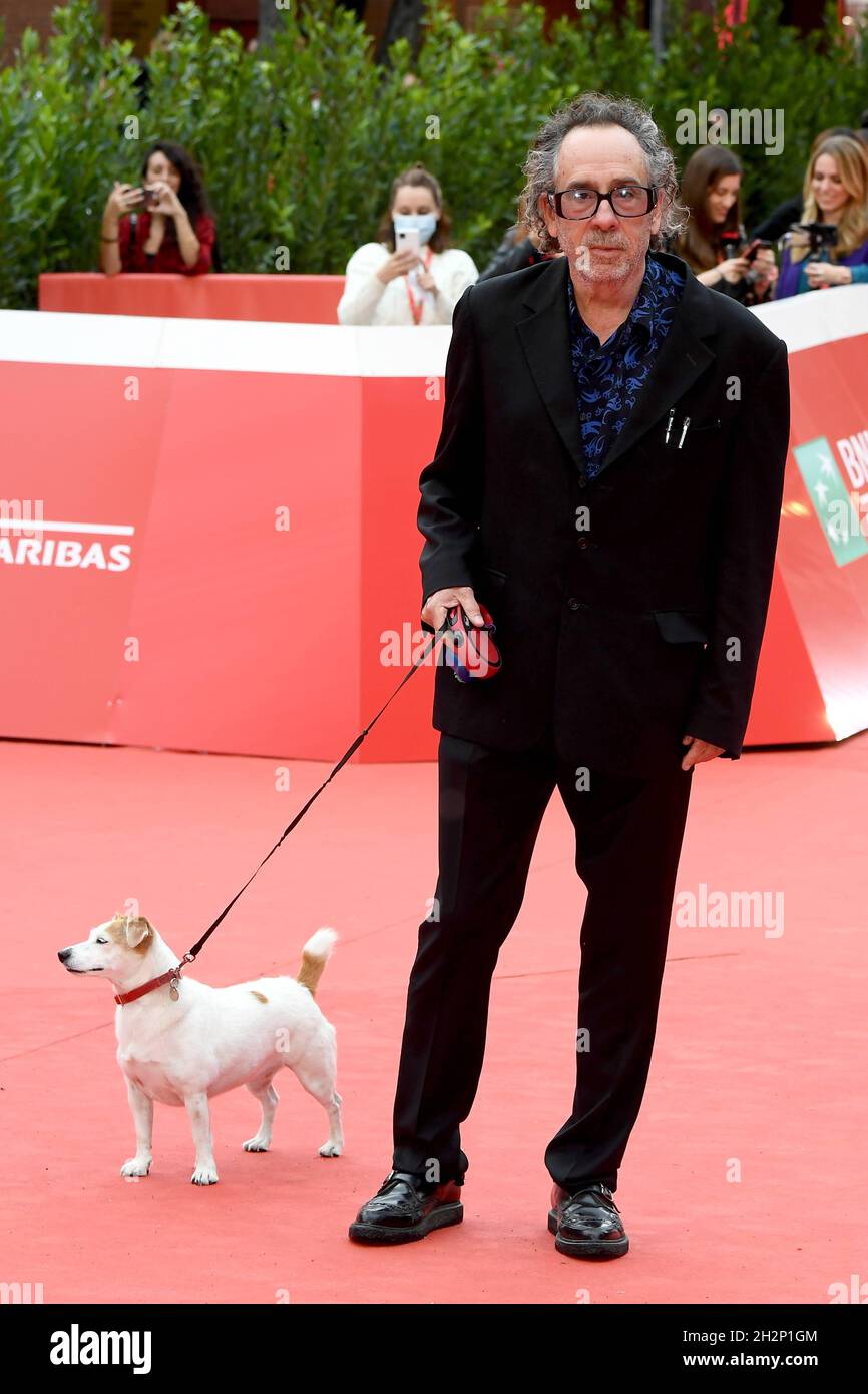 Tim burtons dog hi-res stock photography and images - Alamy