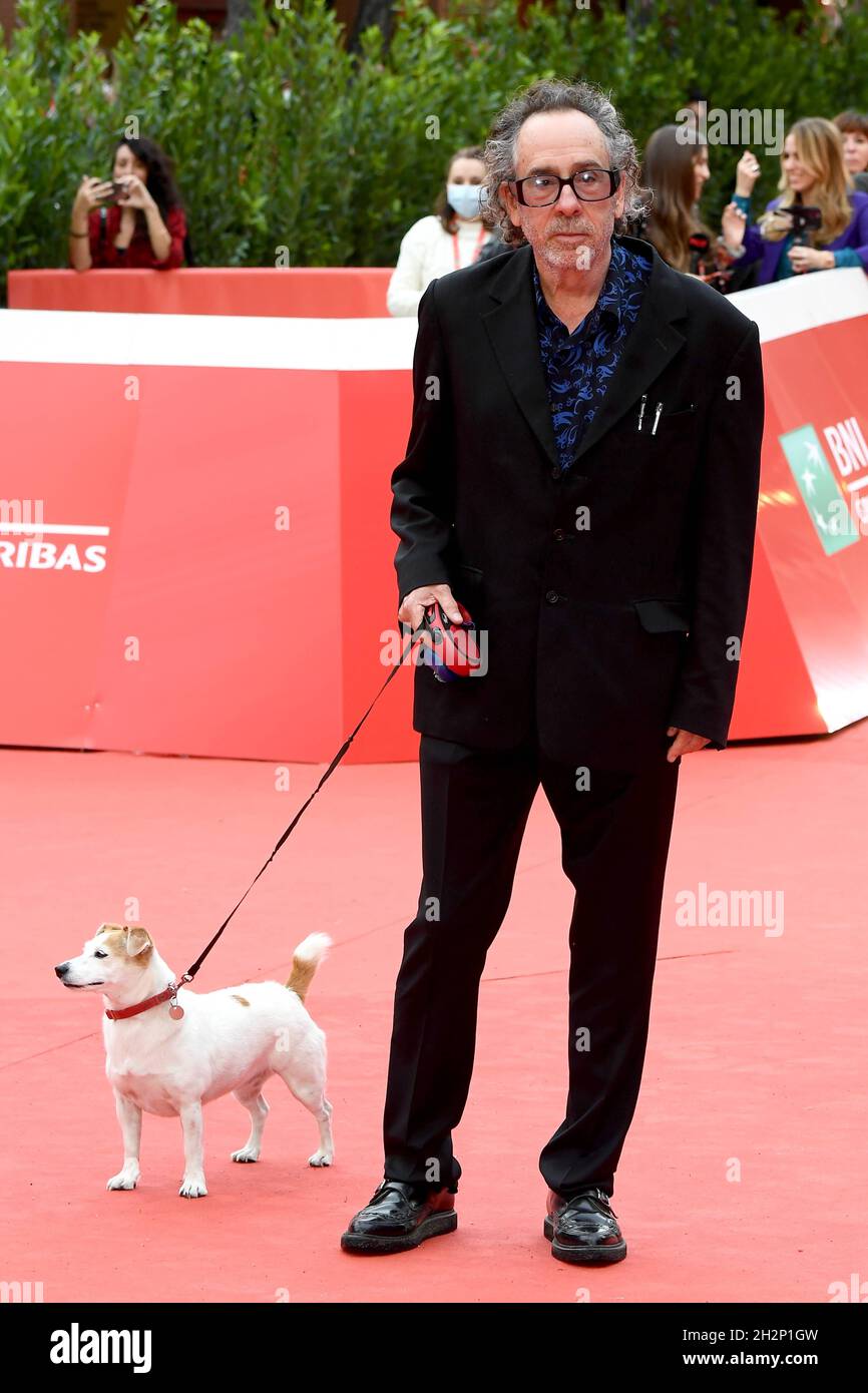 Tim burtons dog hi-res stock photography and images - Alamy