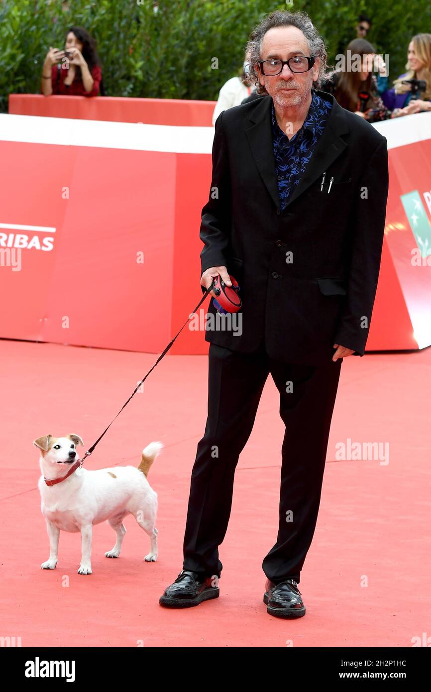 Tim burtons dog hi-res stock photography and images - Alamy