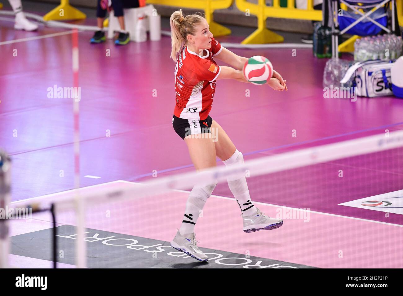 S bernar hi-res stock photography and images - Alamy