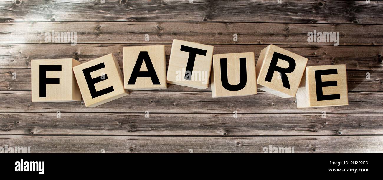 Word FEATURES. Wooden cubes with letters isolated on a brown background ...