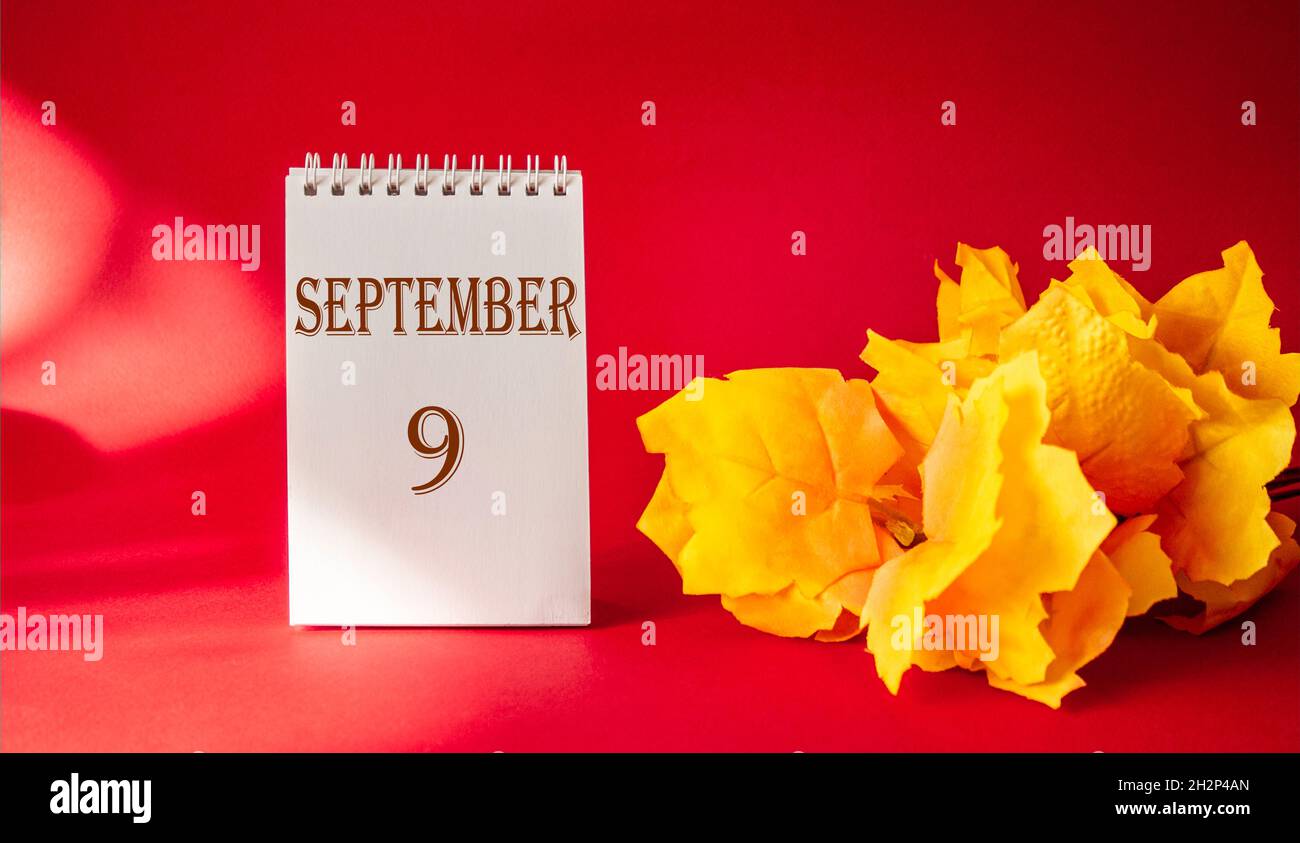 Calendar with the text October 9 on a red background and with a maple ...