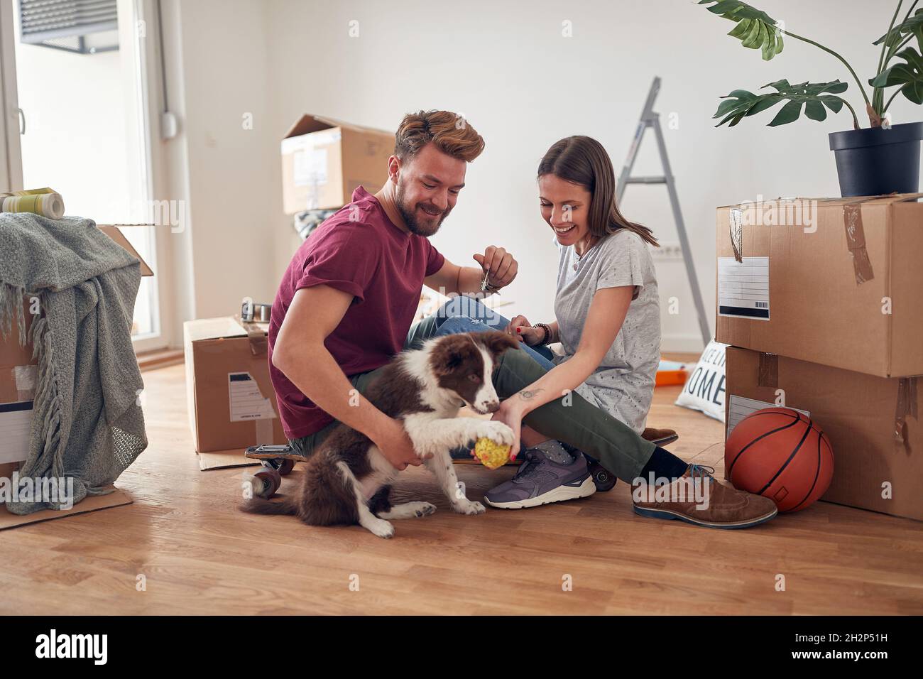 cute young caucasian couple playing with their dog in new apartment ...