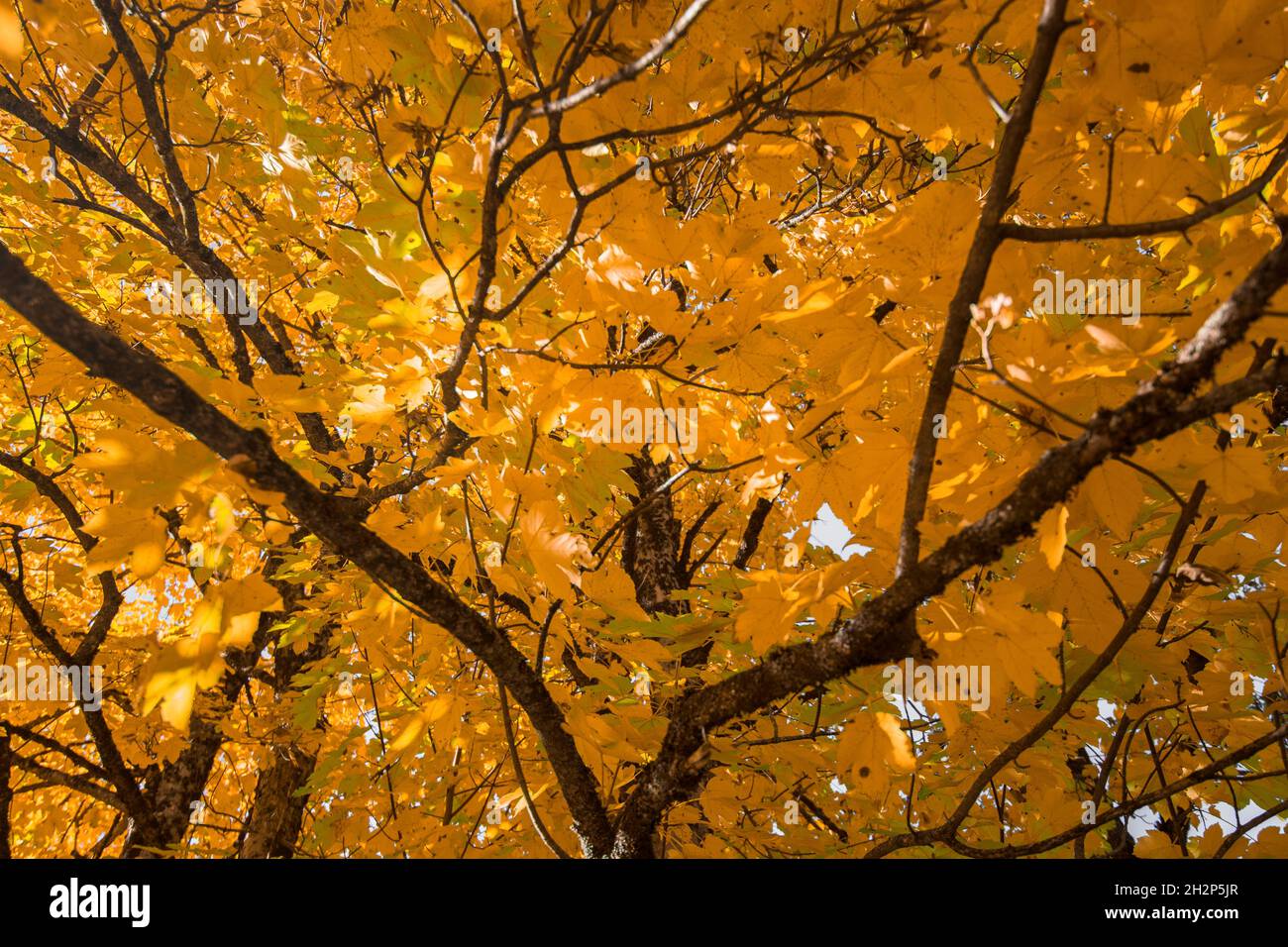 Montreal lake saskatchewan hi-res stock photography and images - Alamy