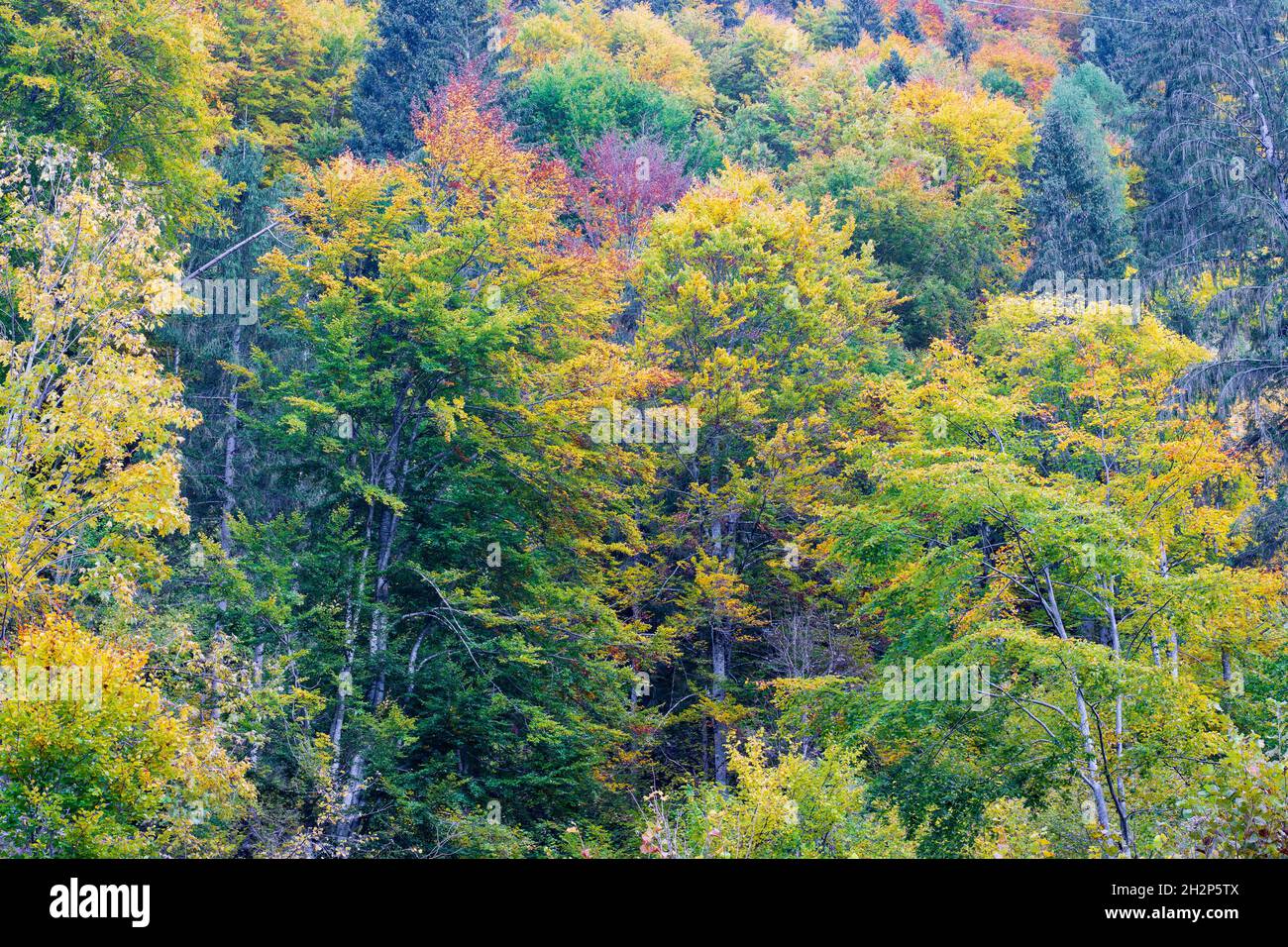 Montreal lake saskatchewan hi-res stock photography and images - Alamy