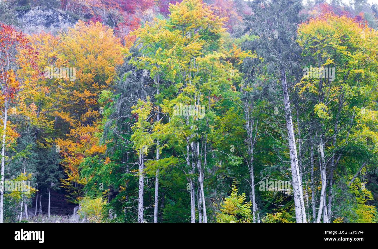 Montreal lake saskatchewan hi-res stock photography and images - Alamy