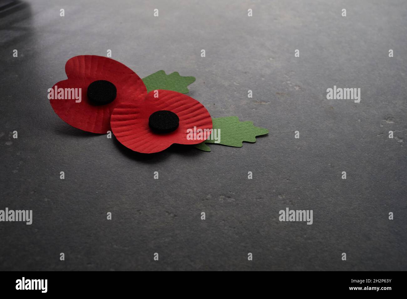 World War remembrance day. Red poppy is symbol of remembrance to those ...