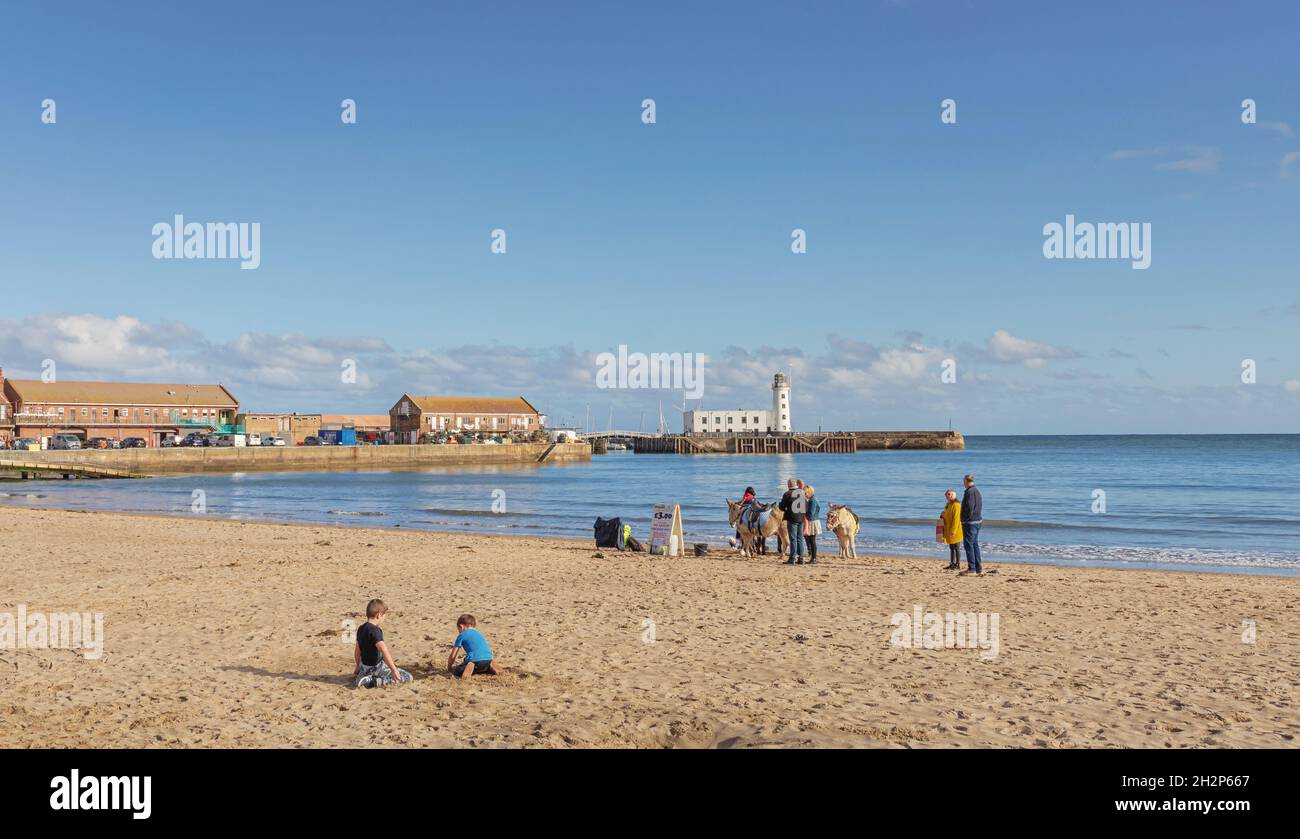 At the seaside people gather round some donkeys and two boys play in ...