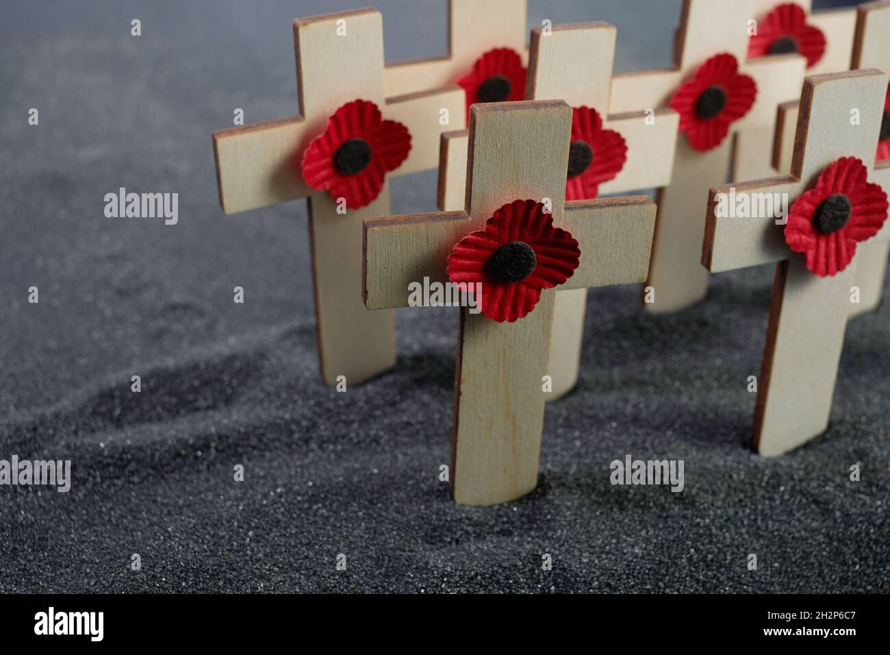 Remembrance Day poppy symbol on wooden cross. 11th November is a ...