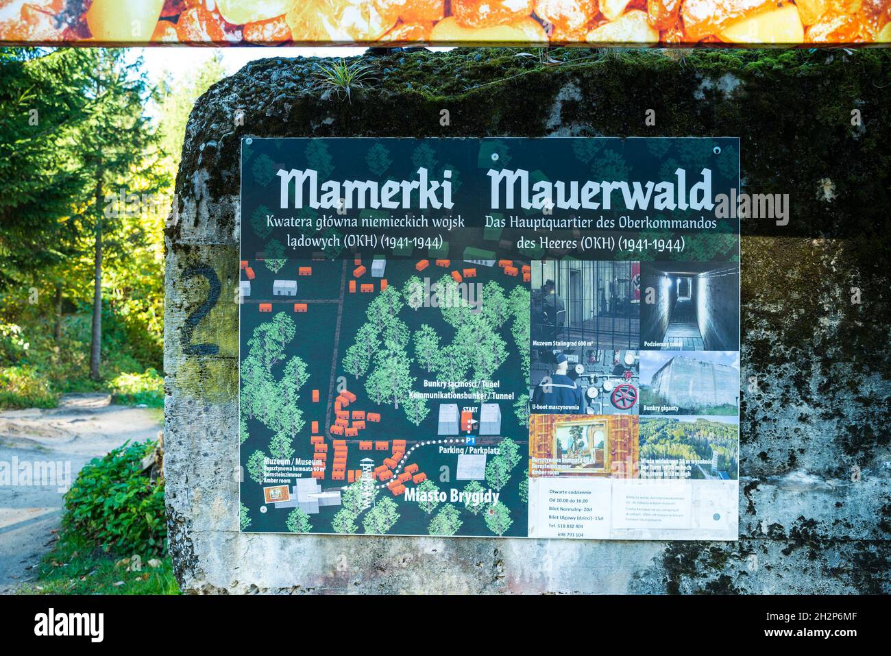 Mauerwald hi-res stock photography and images - Alamy
