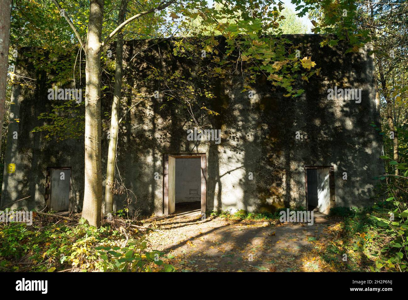 Mauerwald hi-res stock photography and images - Alamy