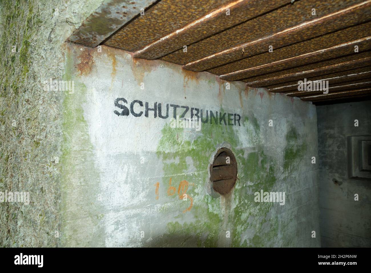 Mauerwald hi-res stock photography and images - Alamy