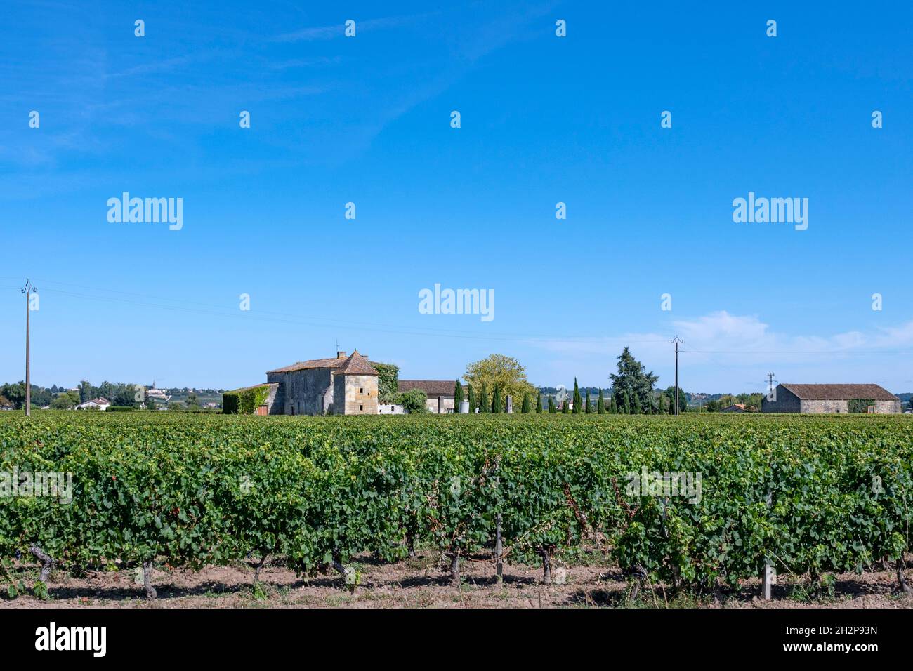 Loupiac vineyard hi-res stock photography and images - Alamy