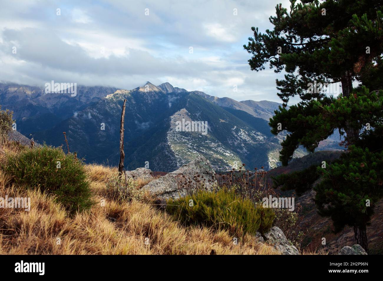 tops of mountain landscape in Europe Greece Taygetus Stock Photo - Alamy