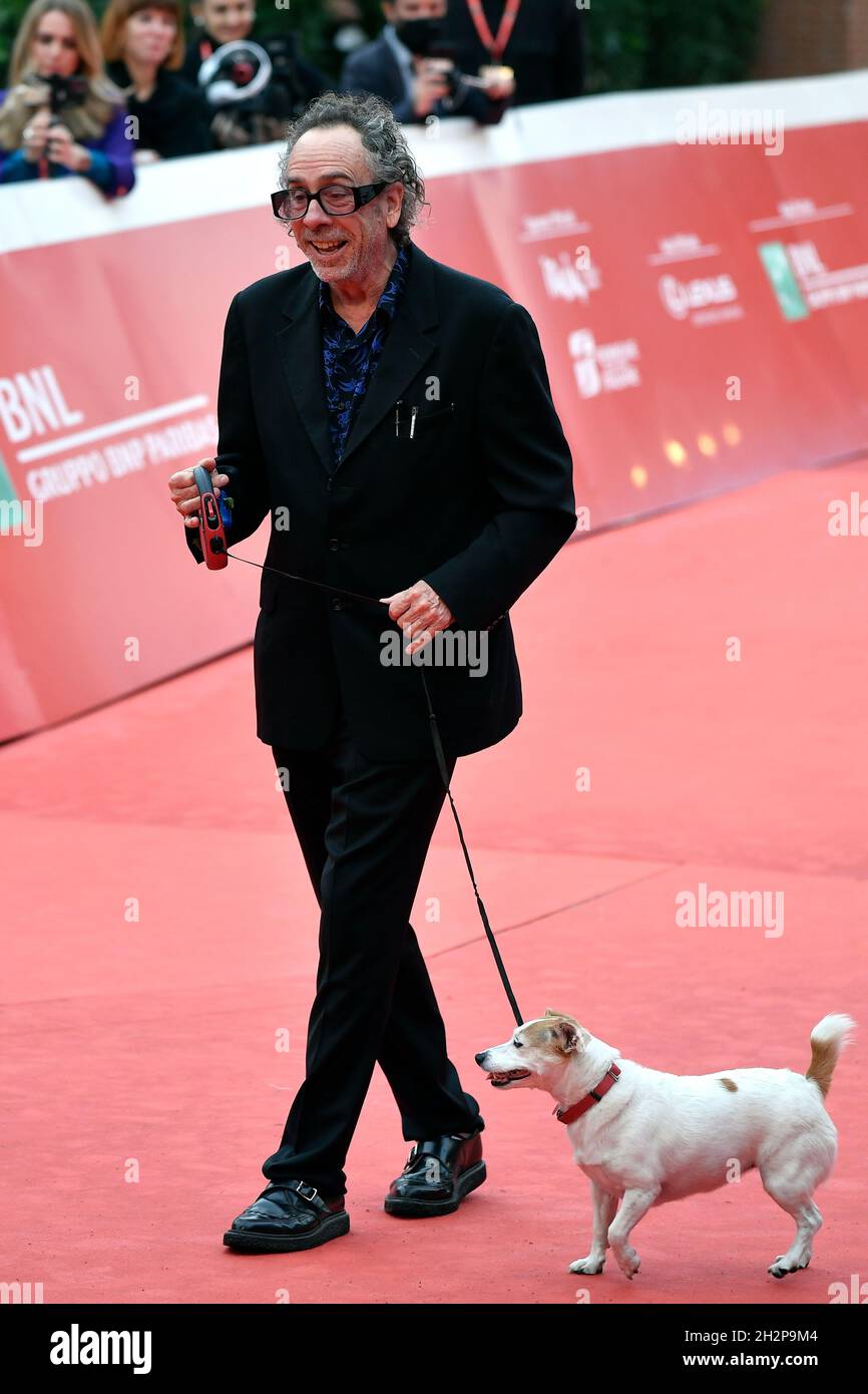 Tim Burton Dog High Resolution Stock Photography and Images - Alamy