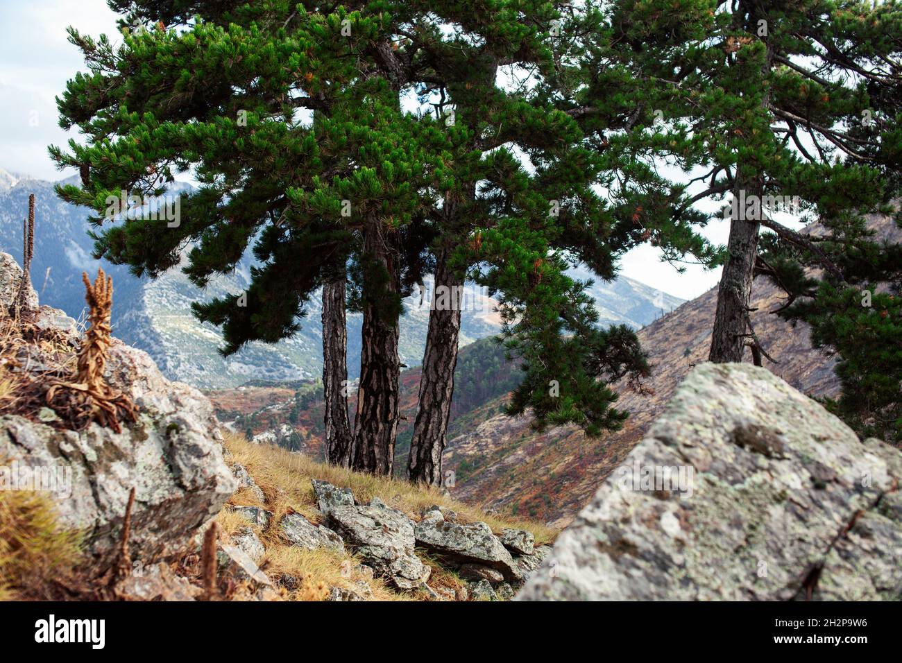 tops of mountain landscape in Europe Greece Taygetus Stock Photo - Alamy