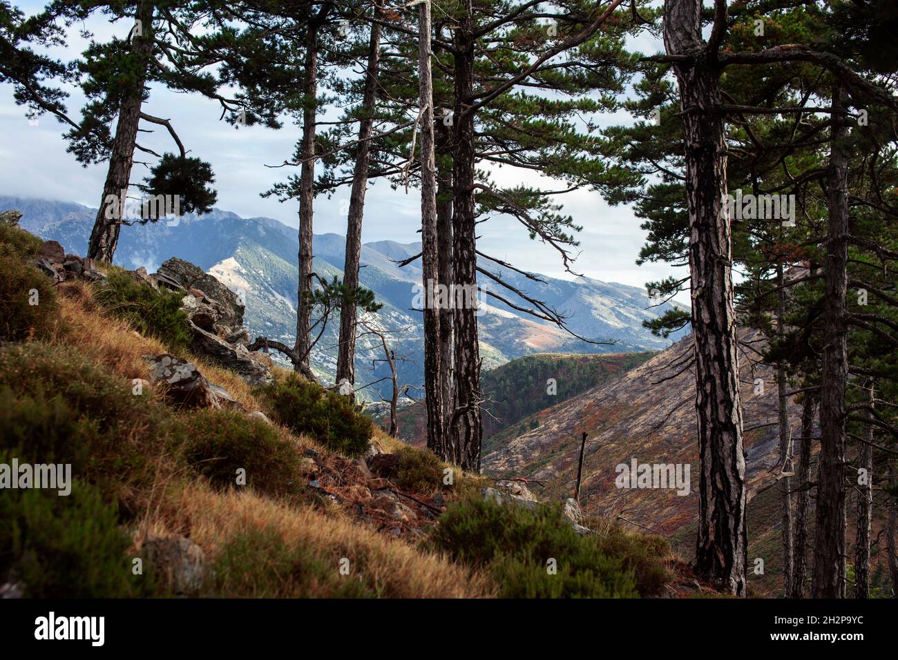 tops of mountain landscape in Europe Greece Taygetus Stock Photo - Alamy
