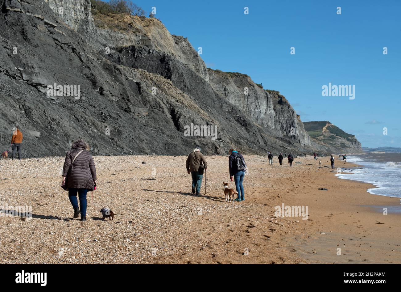 Charmouth beach, Dorset, UK Stock Photo - Alamy