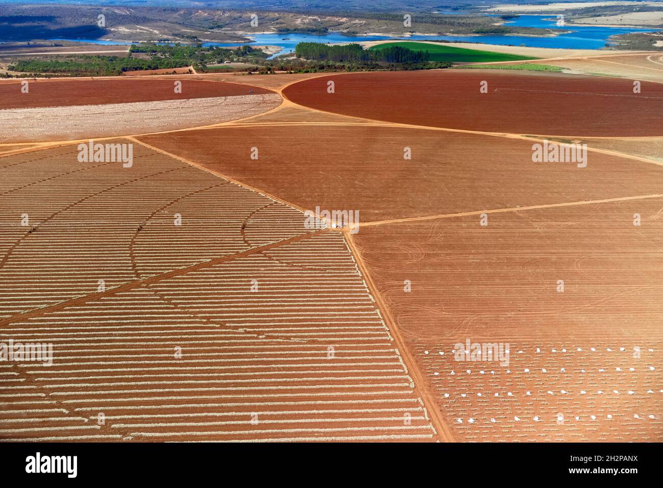 Brazil plantation aerial hi-res stock photography and images - Alamy