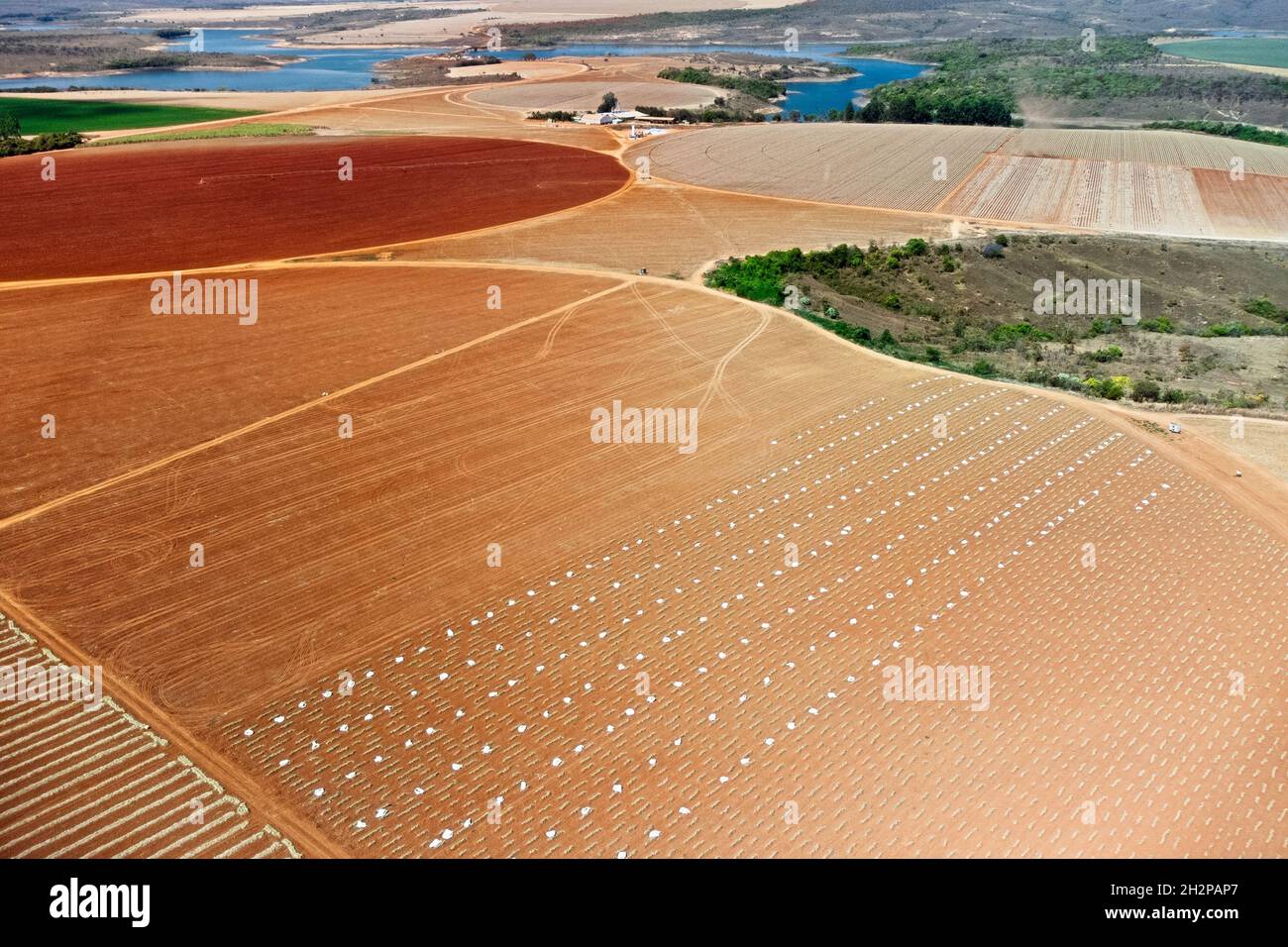 aerial view of vegetable fields, Brazil Stock Photo - Alamy