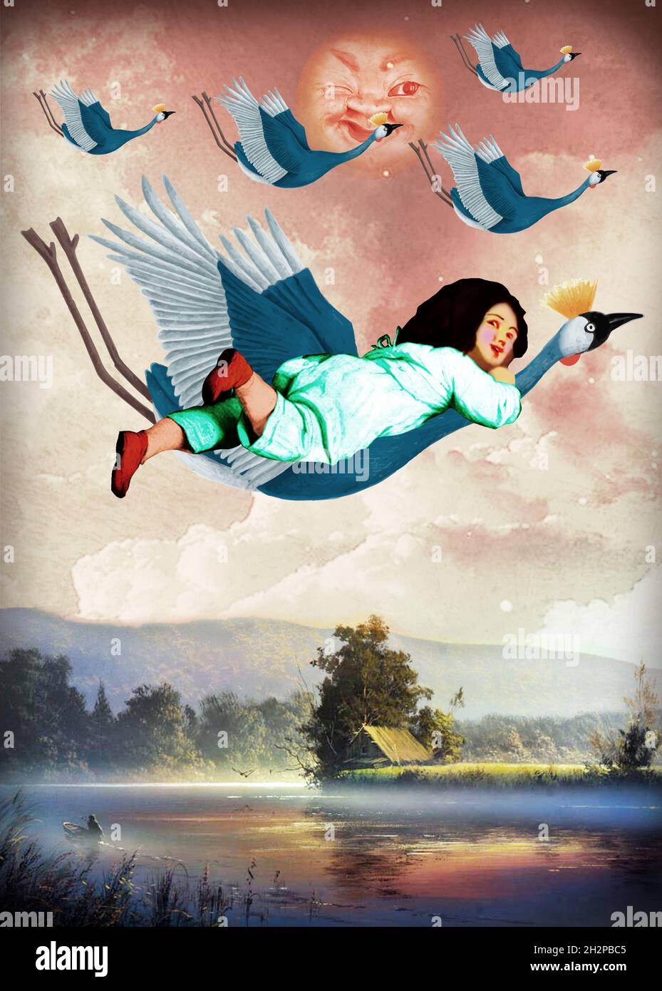 Collage of a bird hi-res stock photography and images - Alamy
