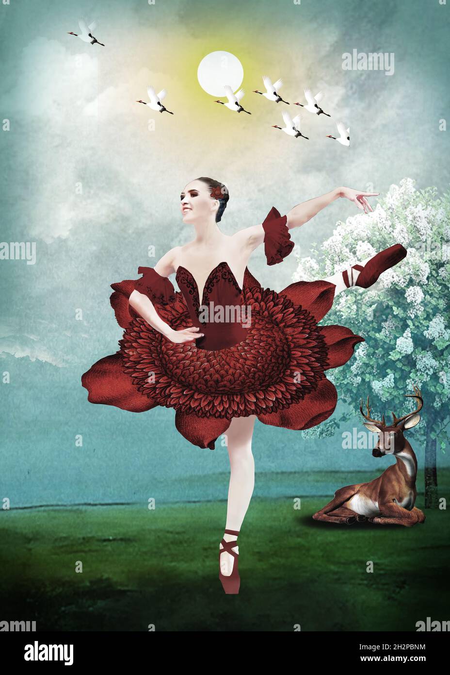 A graceful dance in nature Stock Photo - Alamy