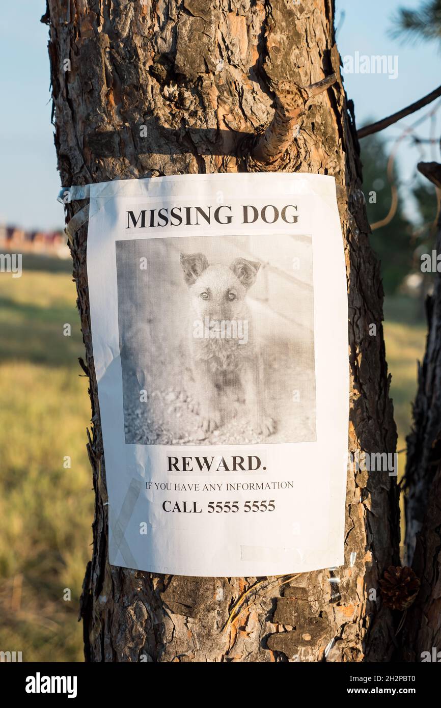 Missing poster on tree hi-res stock photography and images - Alamy