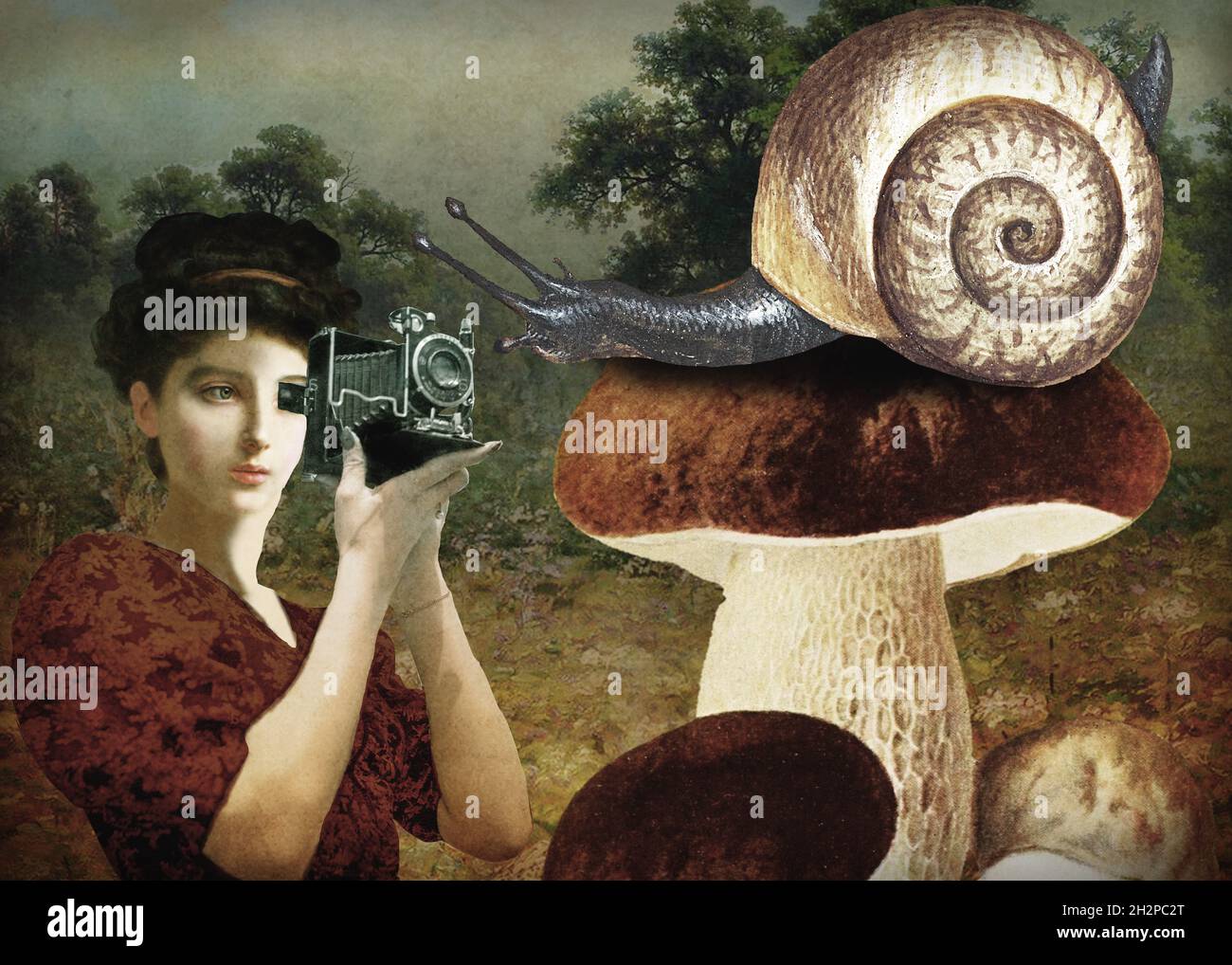Surrealist photo collage hi-res stock photography and images - Alamy