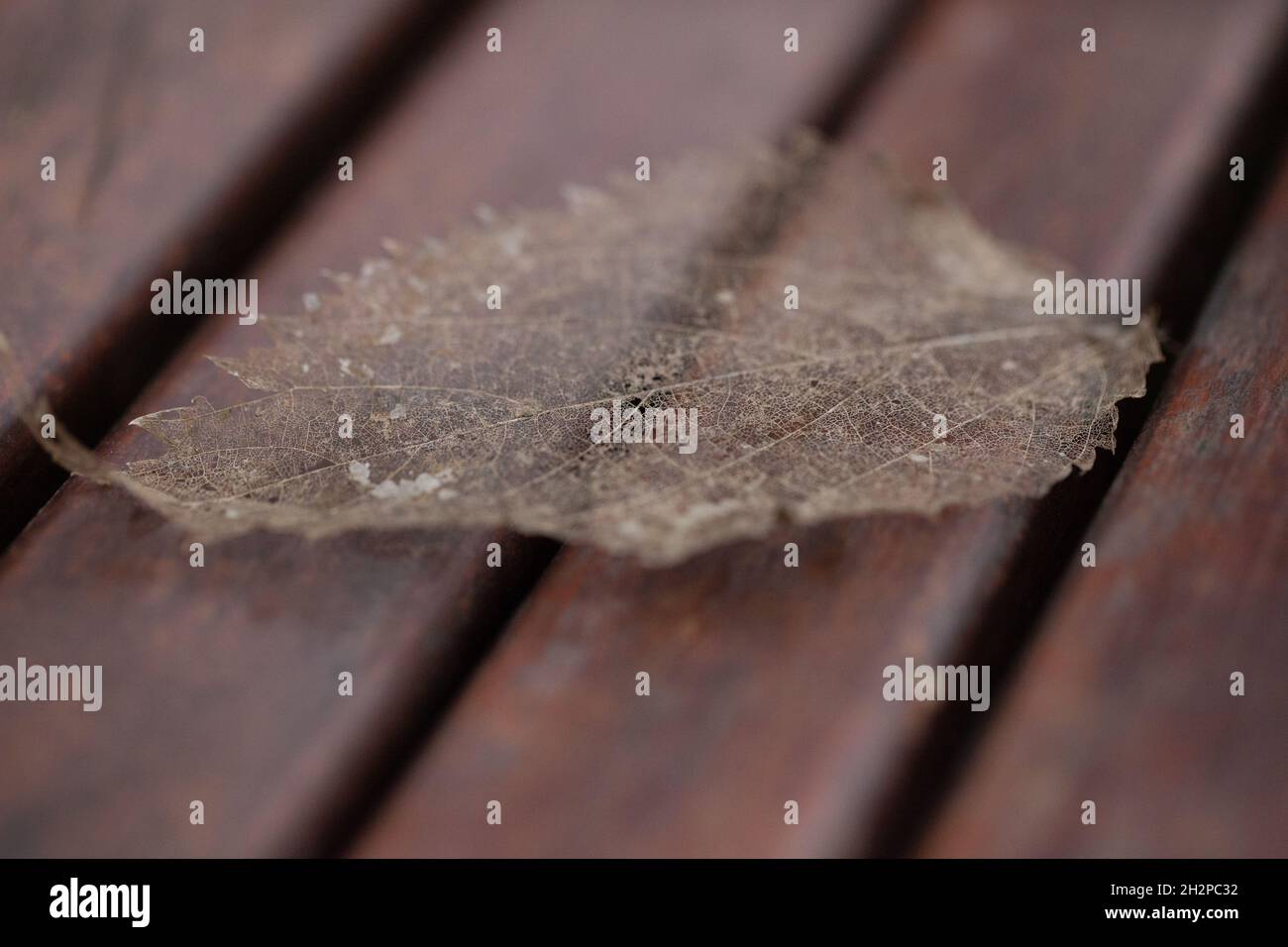 Leggerezza hi-res stock photography and images - Alamy