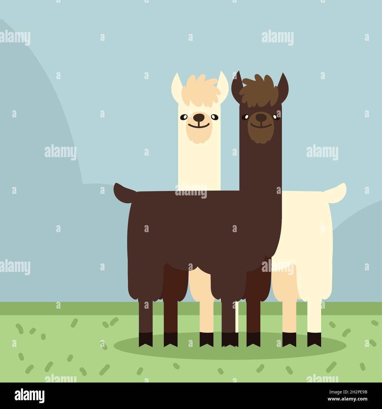 Llamas andes Stock Vector Images - Alamy