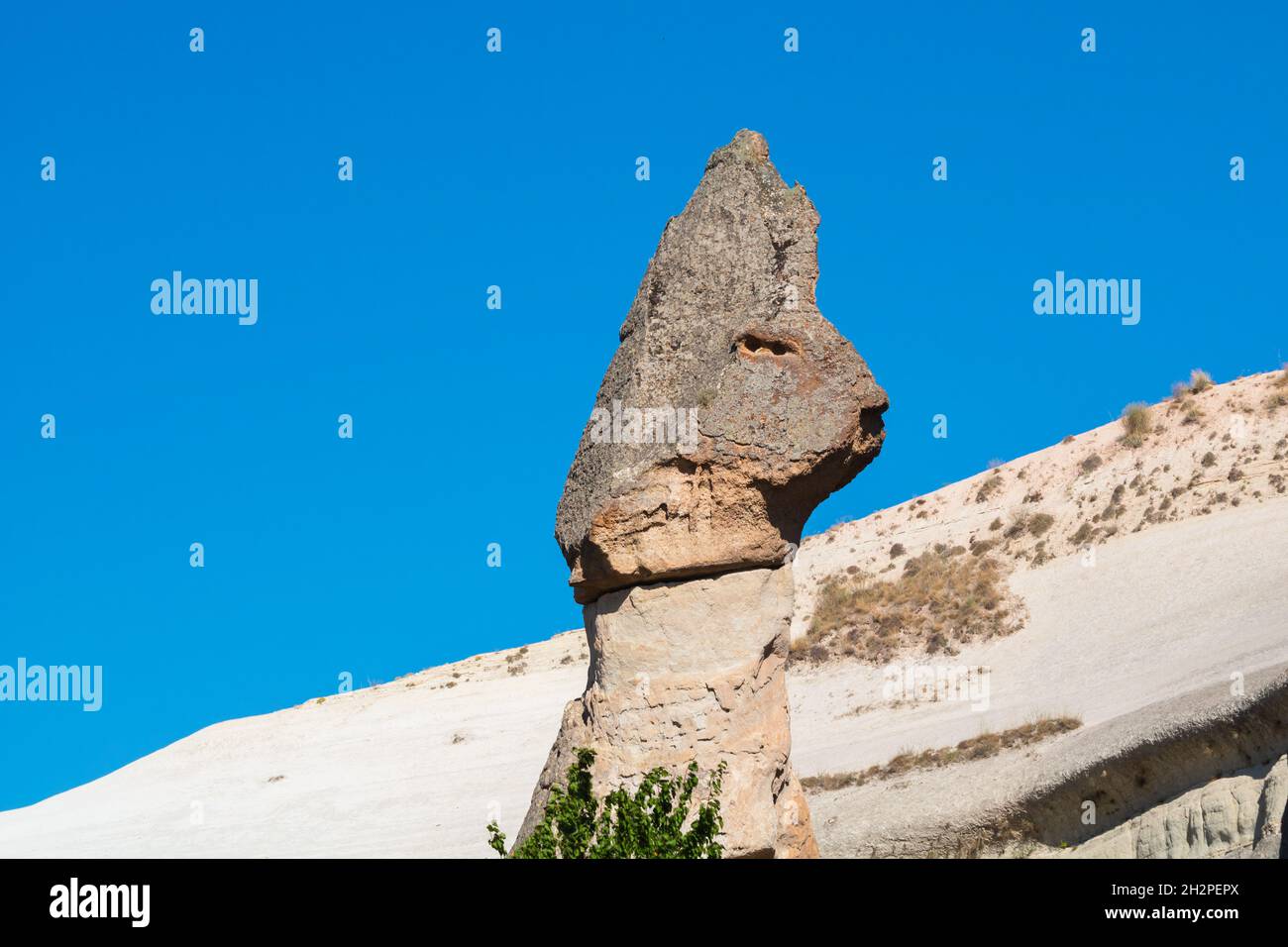 A fairy chimneys or peri bacasi on clear sky background in Cappadocia ...