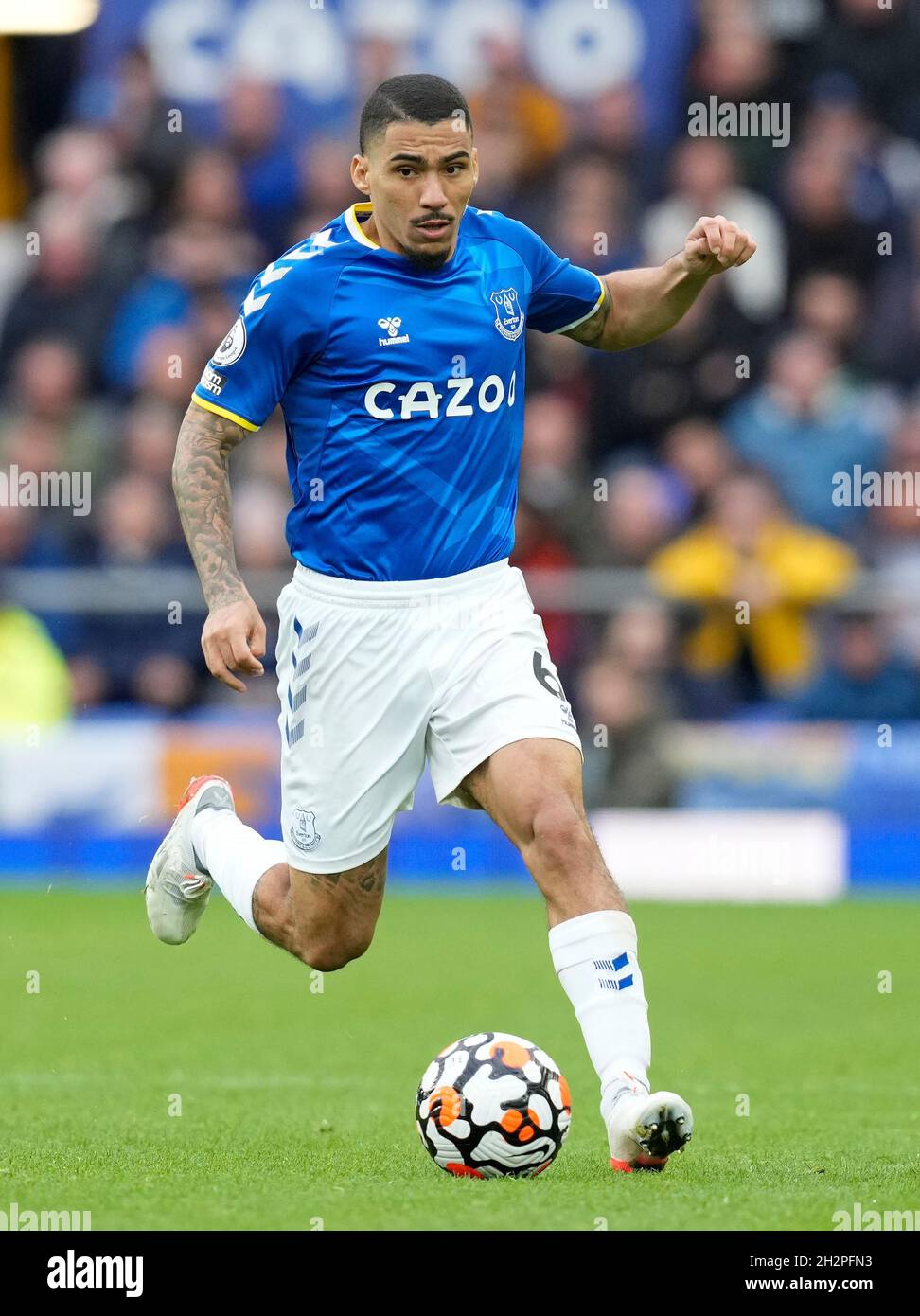 Andrew yates goodison park hi-res stock photography and images - Alamy