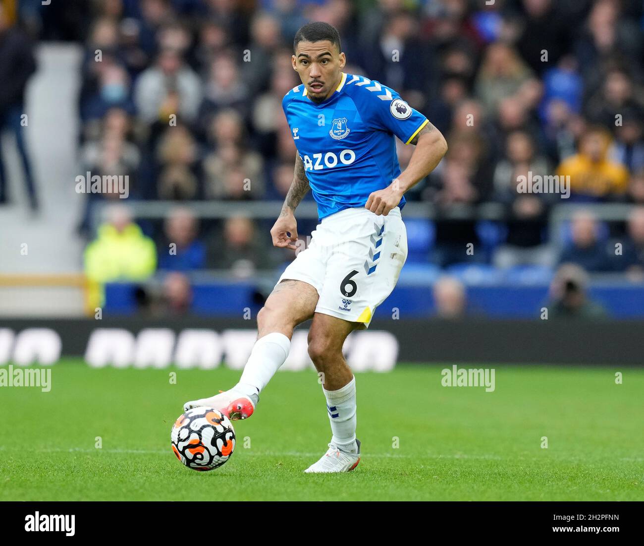 Andrew yates goodison park hi-res stock photography and images - Alamy