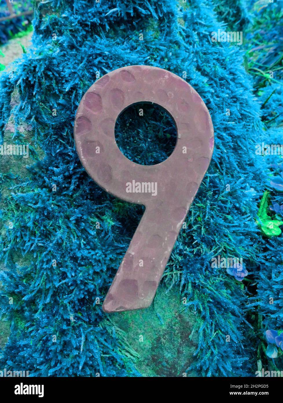 House number nine on a stone full of moss. The moss is converted from ...