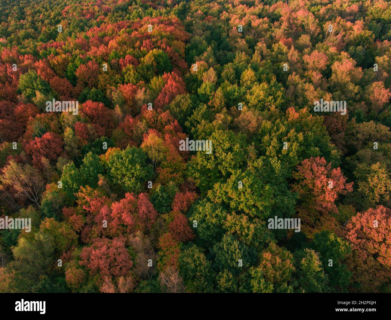 Drones view hi-res stock photography and images - Alamy