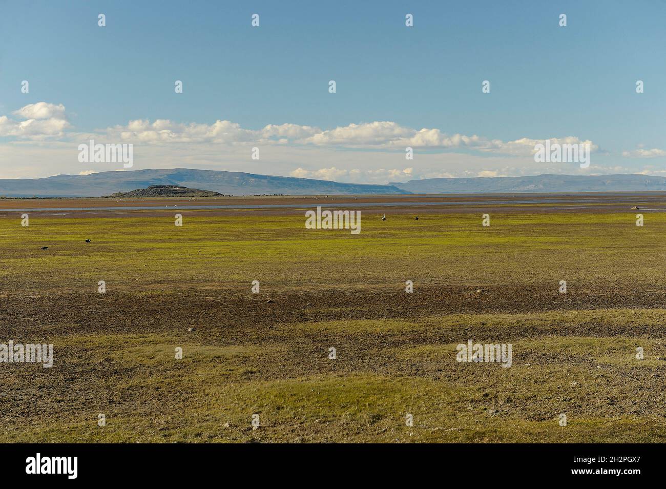 Argentine pampas grasslands hi-res stock photography and images - Alamy