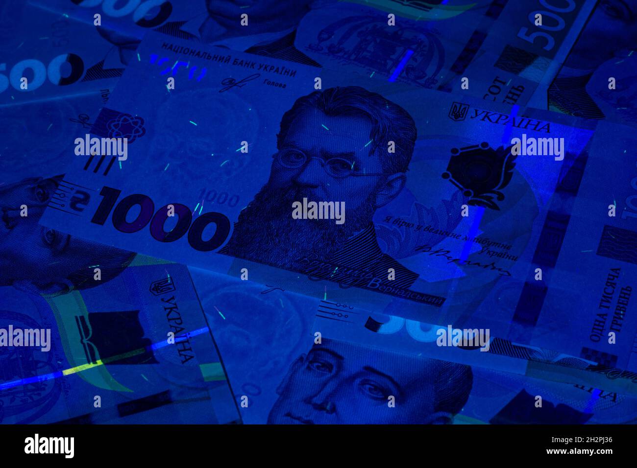 Ukrainian currency hryvnia in ultraviolet rays. Banknotes of one ...