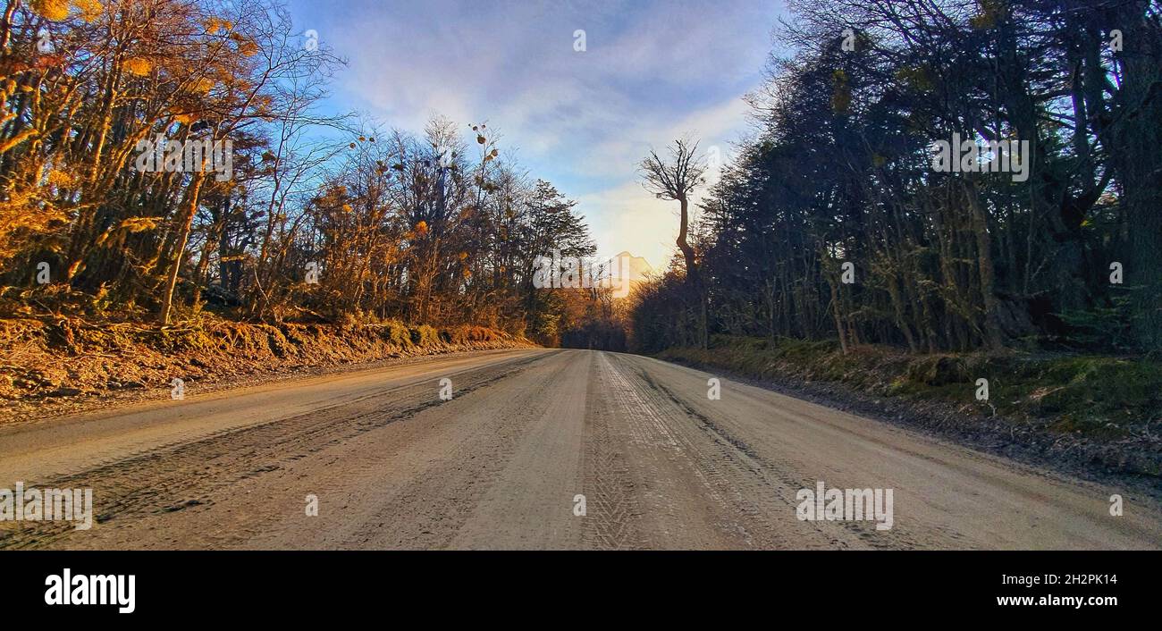 Big road leading through a forest under a beautiful cloudy sky Stock ...