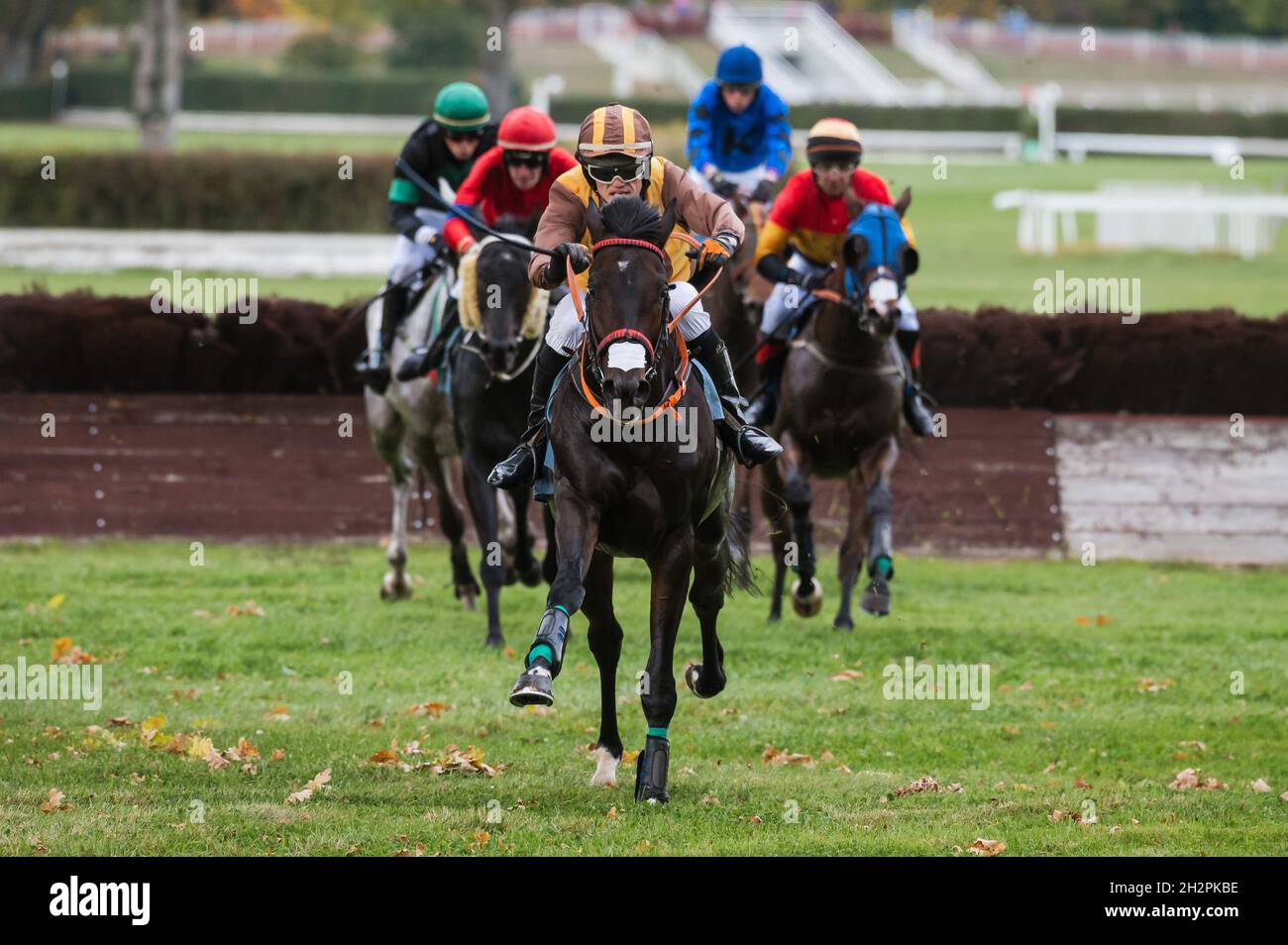 WROCLAW, POLAND - OCTOBER 16; 2021: Steeplechase race at Racecourse ...
