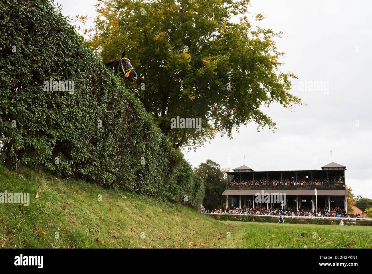 WROCLAW, POLAND - OCTOBER 16; 2021: Steeplechase race Crystal Cup ...
