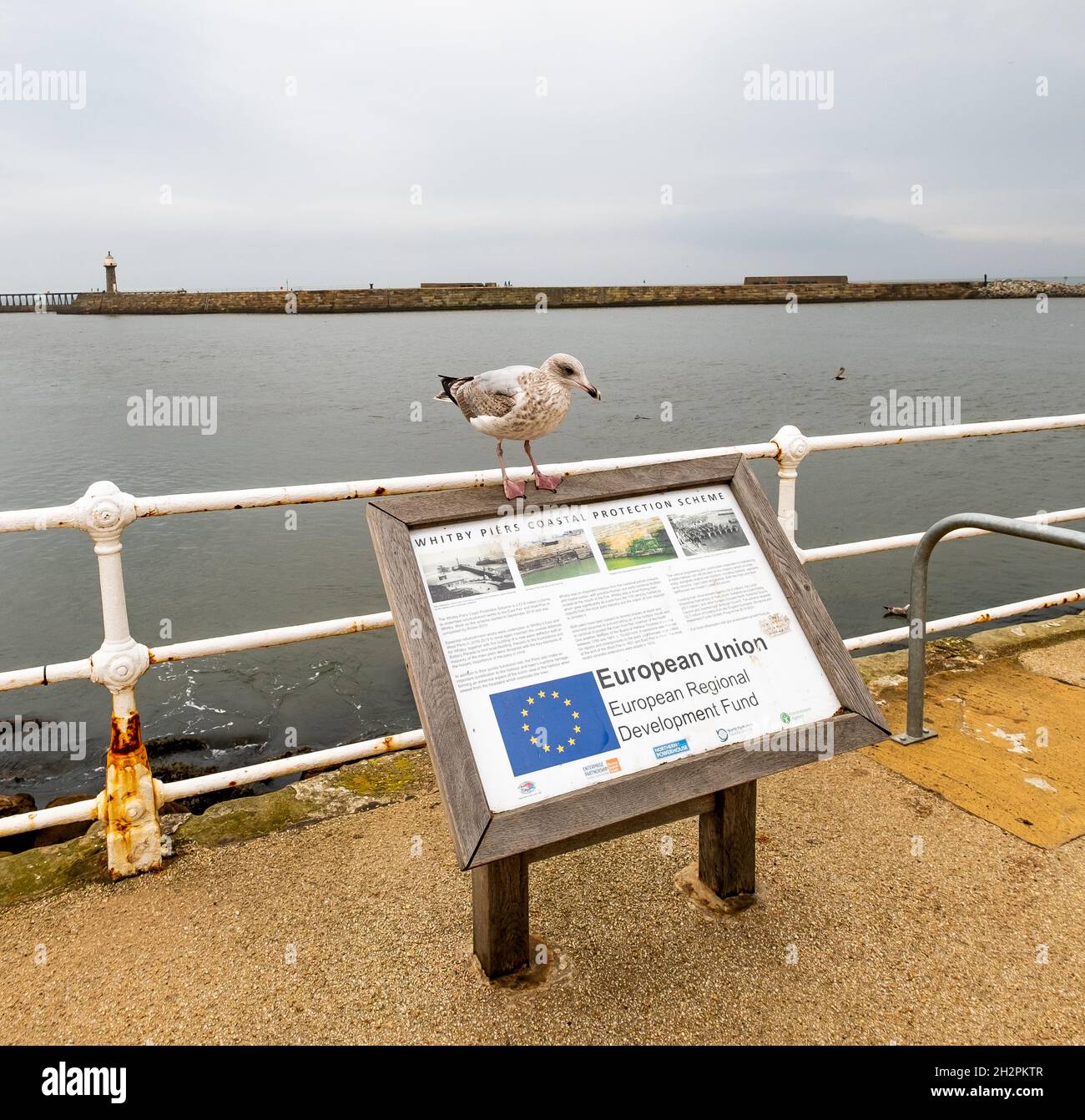Whitby piers protection scheme hi-res stock photography and images - Alamy