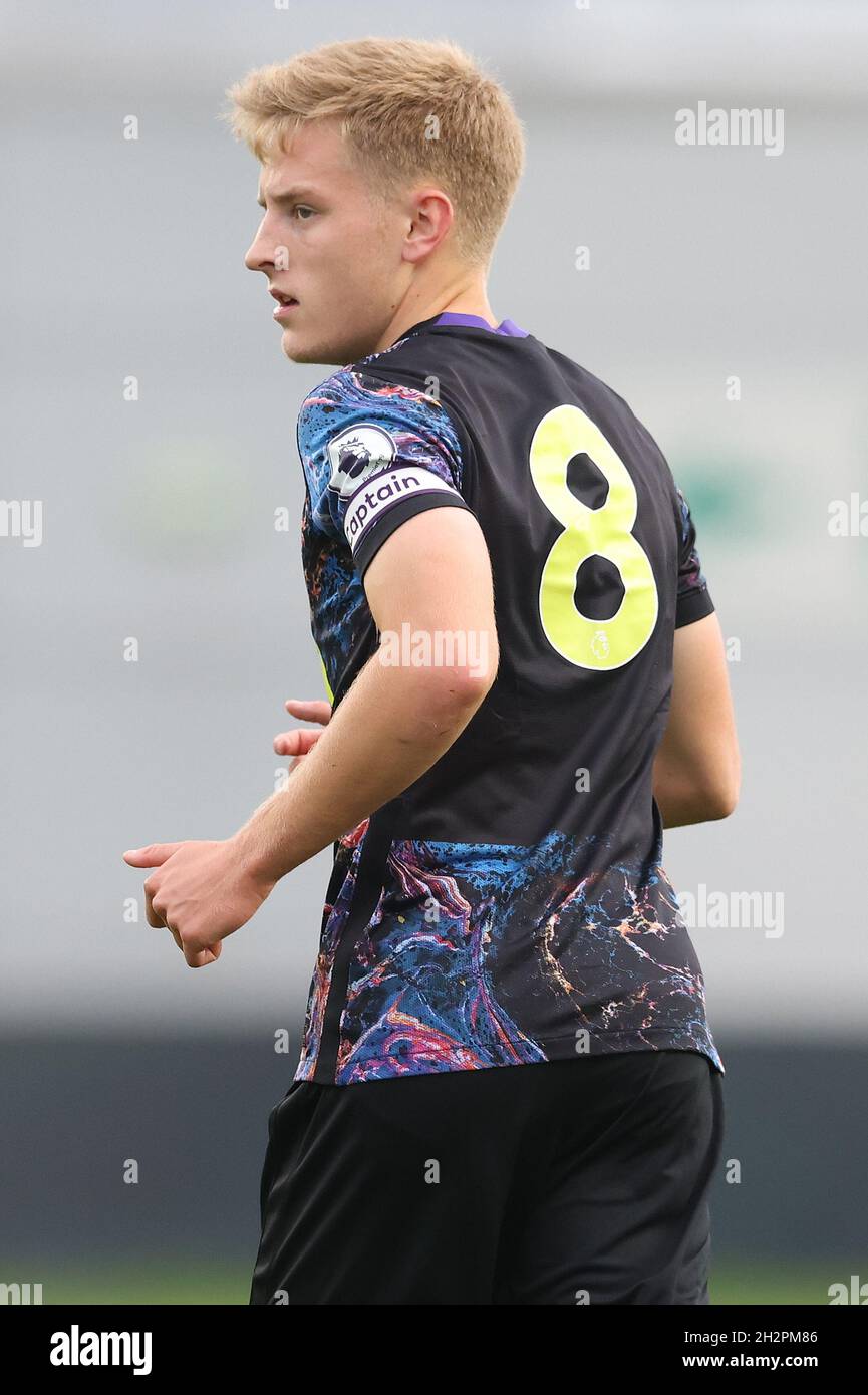 Harvey white hi-res stock photography and images - Alamy