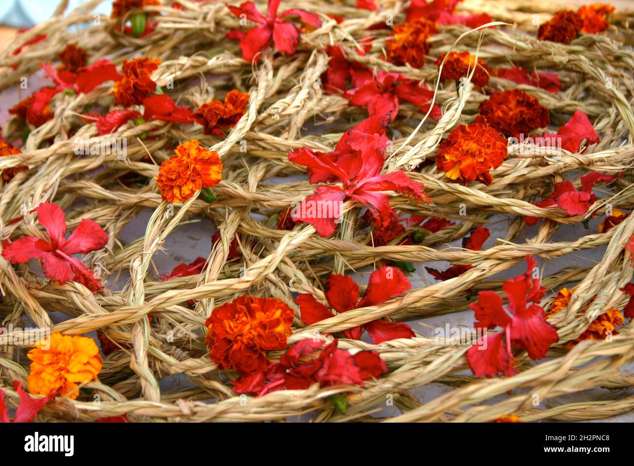 INDIA. ORNATE ROPE HYBISCUS FLOWERS FOR CONNECTING THE TWO BANKS OF THE ...