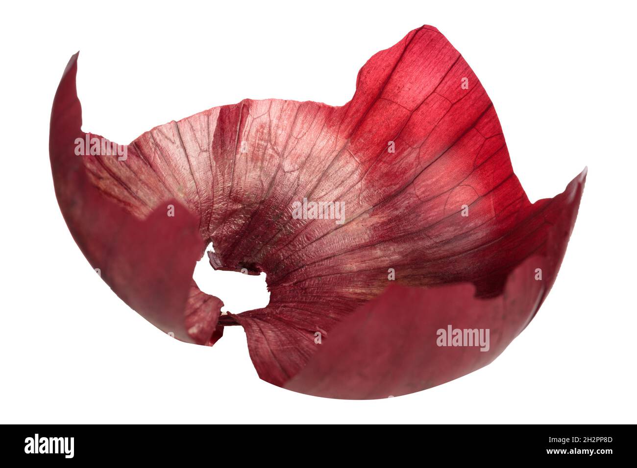 Good for skin Cut Out Stock Images & Pictures - Alamy