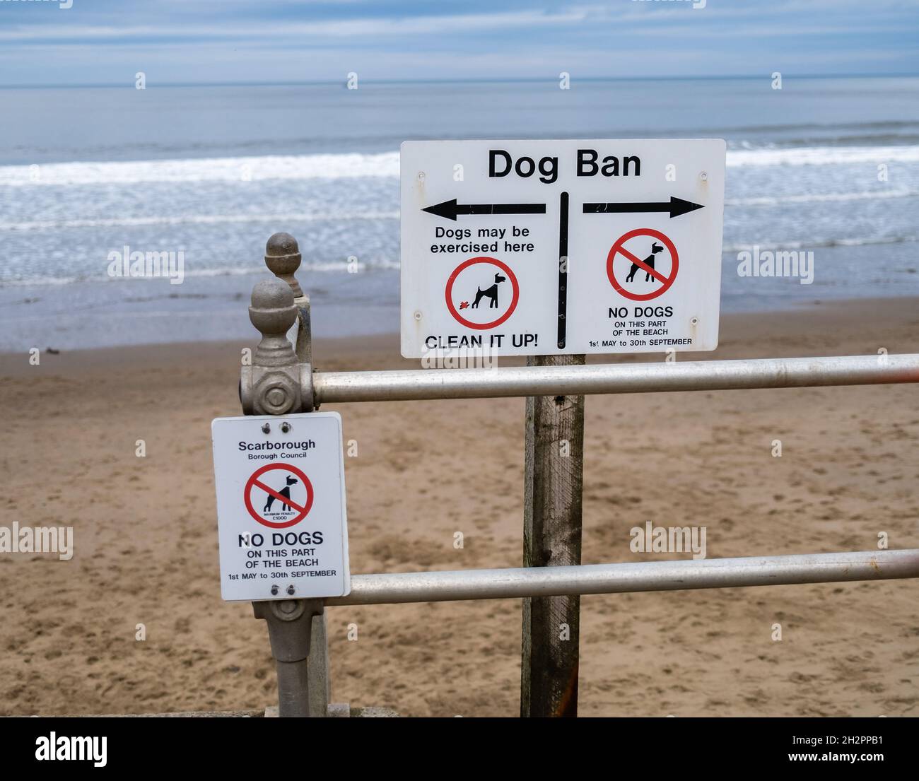 Dog ban sign attached to the metal railing on the promenade or ...