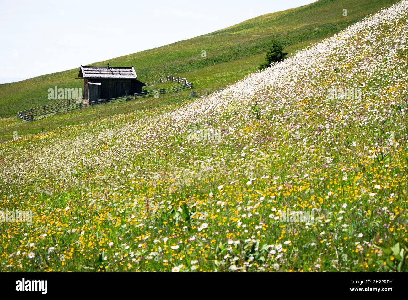 italian mountain landscape with meadow Stock Photo - Alamy