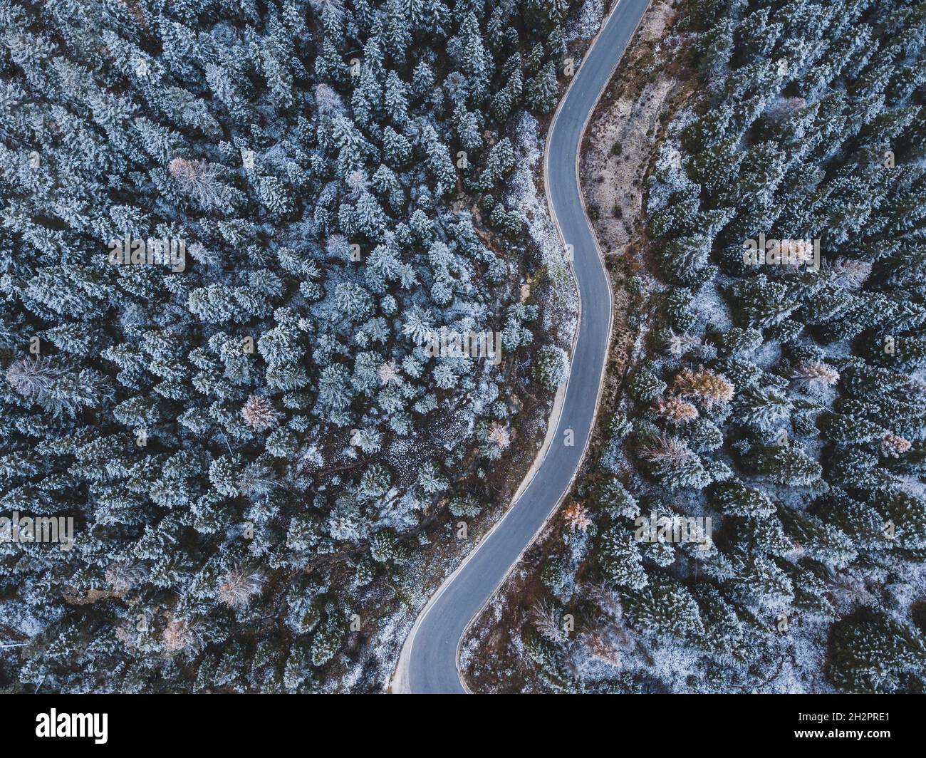 beautiful road in winter forest top view from above, aerial landscape ...