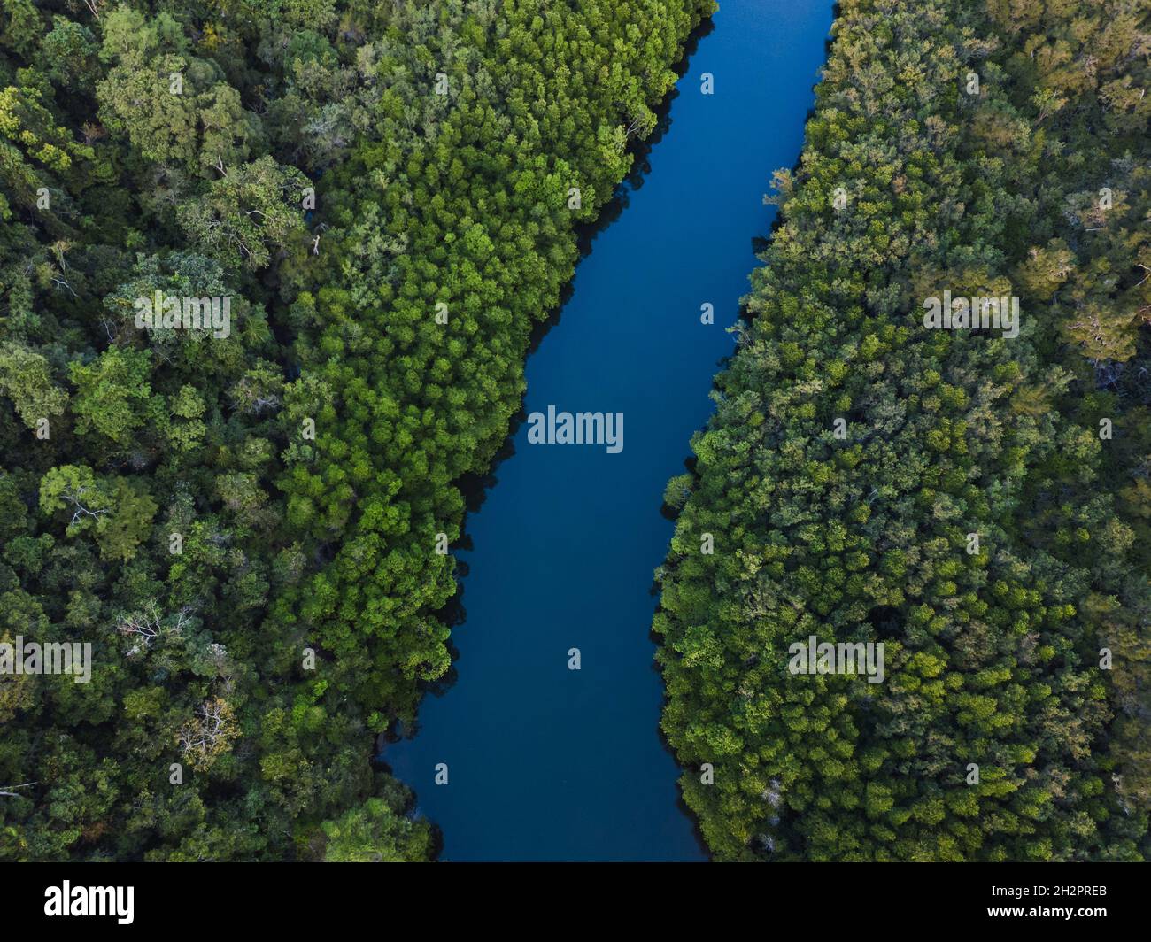 aerial view of river in jungle forest in Asia, beautiful nature ...