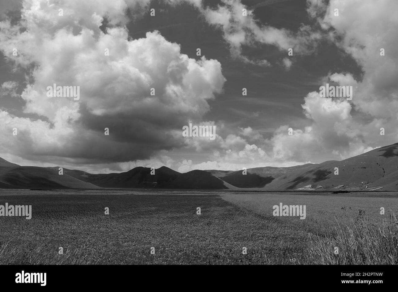 Bloom countryside Black and White Stock Photos & Images - Alamy